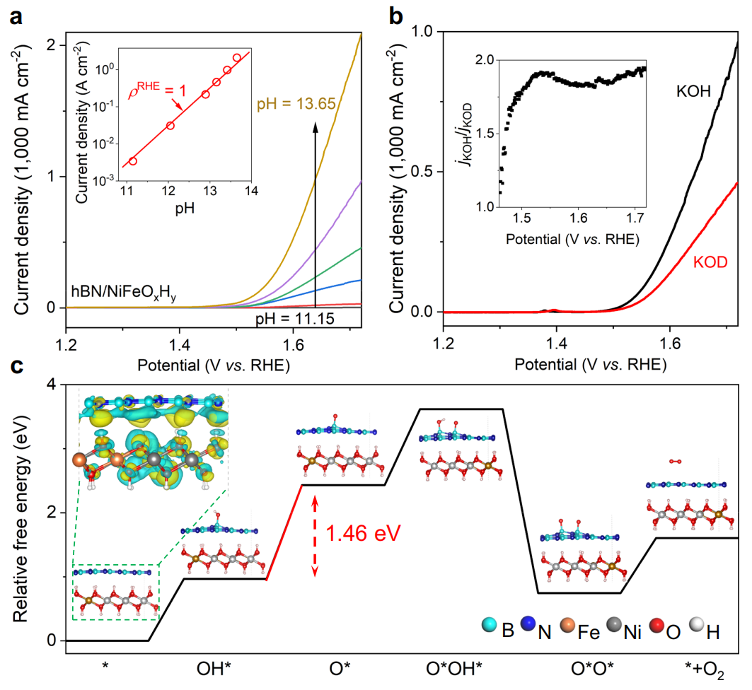 二维材料助催化剂增强OER催化活性的作用机制方面取得重要进展-天目山实验室